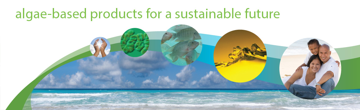 Cellana – Algae-based products for a sustainable future – Just another ...