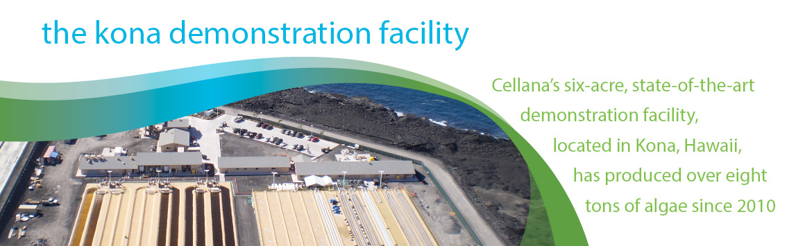 Cellana – Algae-based products for a sustainable future – Just another ...