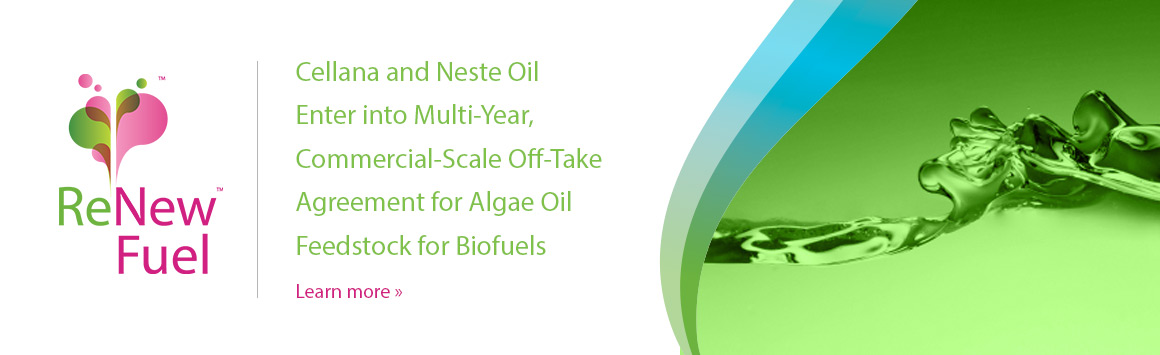 Cellana – Algae-based products for a sustainable future – Just another ...